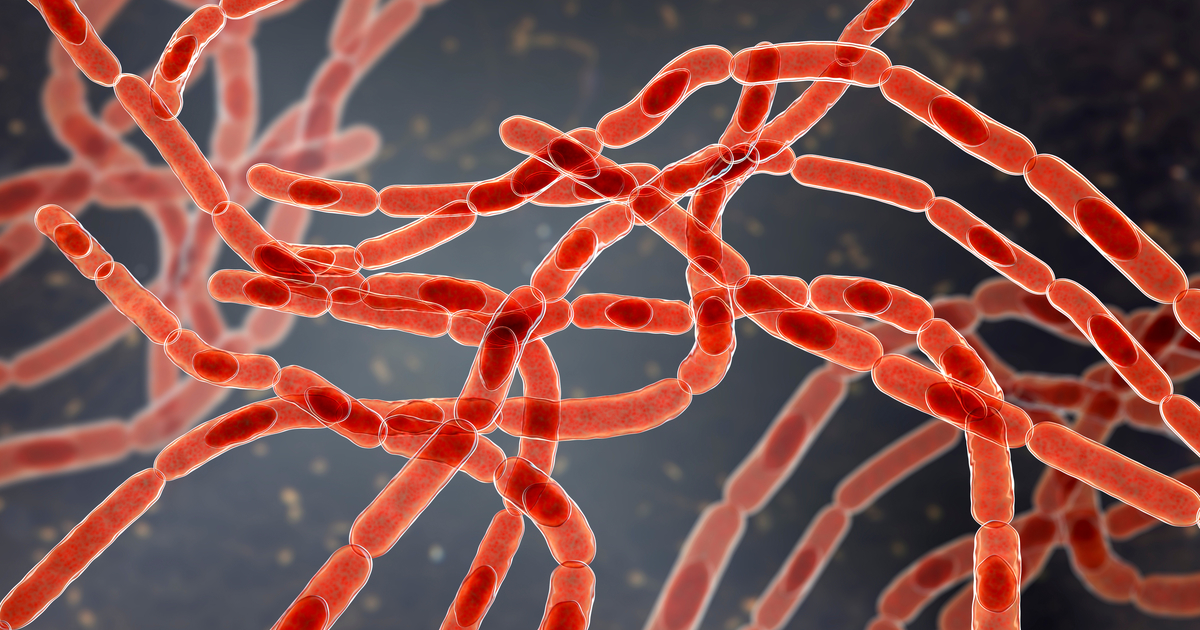 T2 Biosystems Readies Biothreat Panel for FDA Submission While Keeping ...